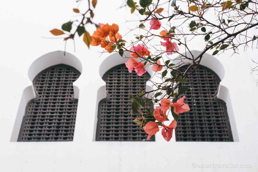 Qué ver en Tánger en 2 días (con mapa) - Ester Traveller