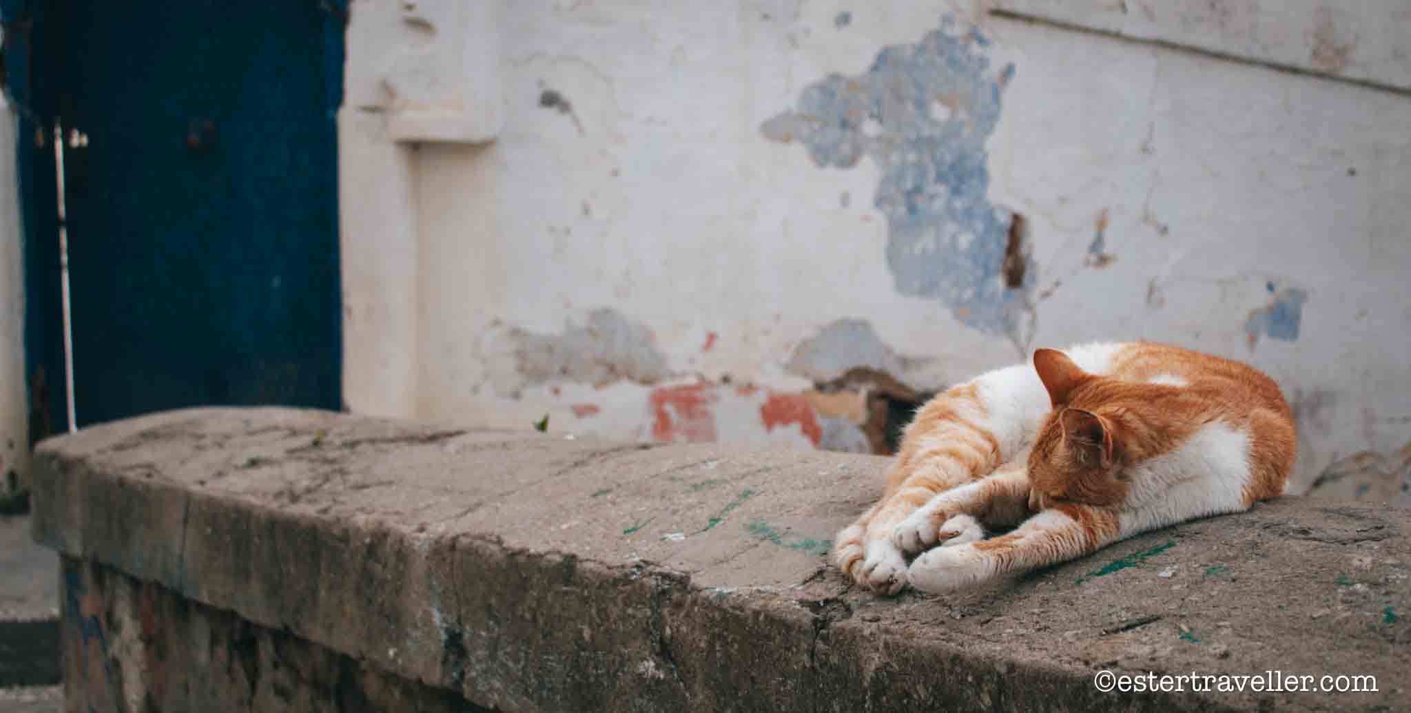 Qué ver en Tánger en 2 días (con mapa) - Ester Traveller