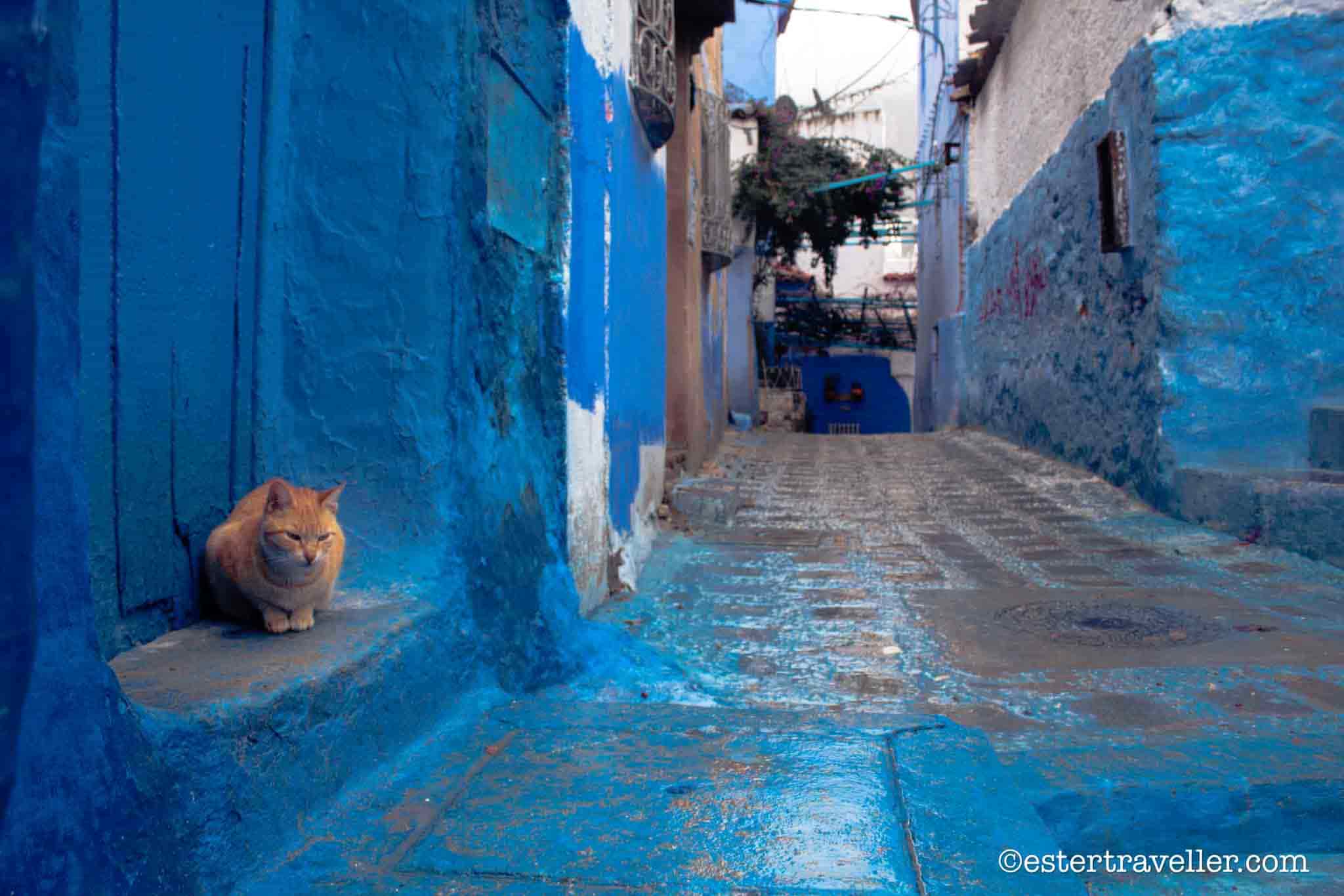 Cómo ir de Tánger a Chefchaouen - Ester Traveller